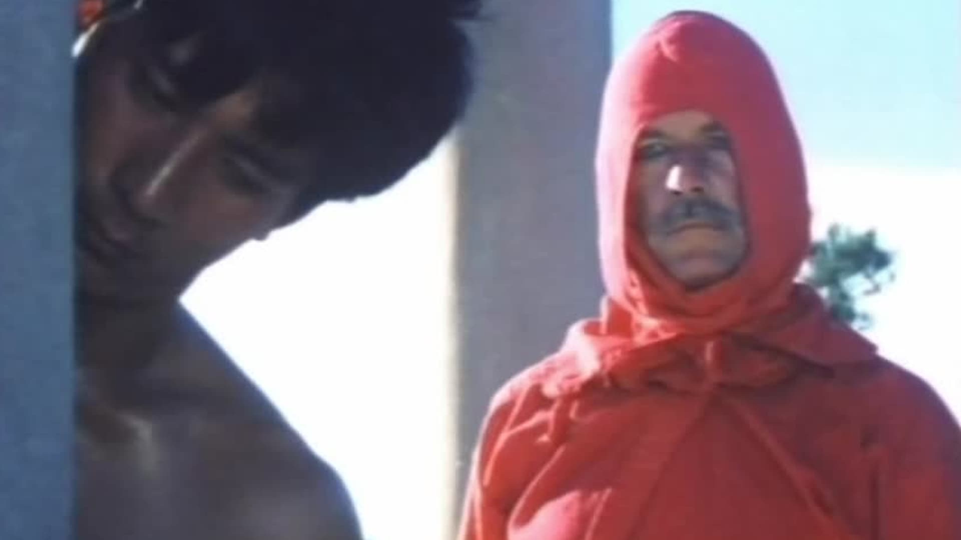 Watch Diamond Ninja Force (1988) - Free Movies | Tubi