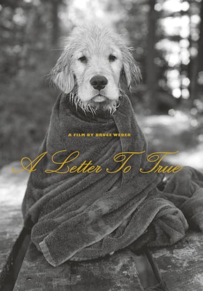 Watch A Letter to True (2003) - Free Movies | Tubi