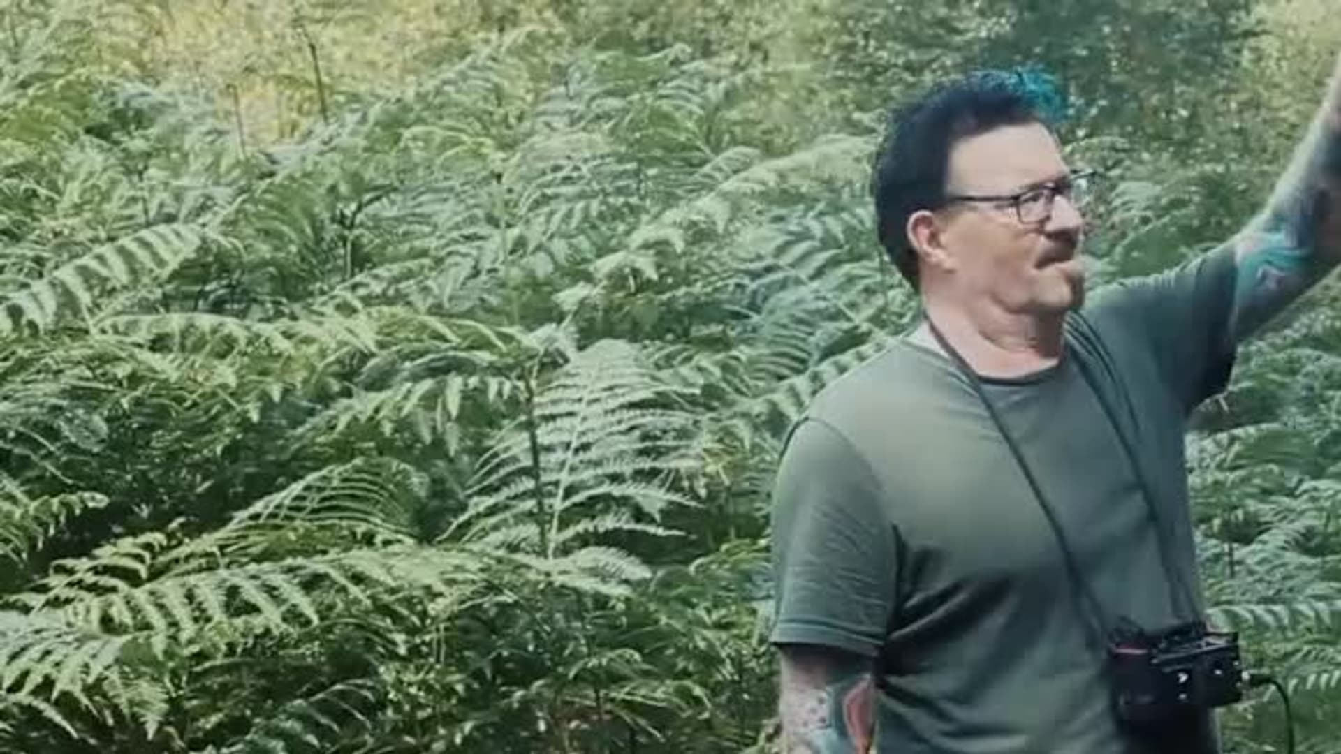 Watch Paranormal UK: UFOs, Cryptids & Hauntings (2023) - Free Movies | Tubi