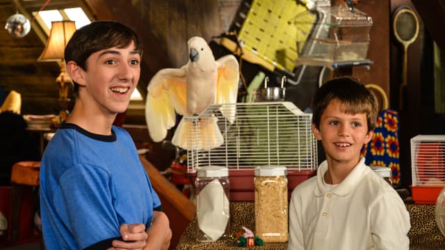 Watch Finding Stuff Out S03:E309 - Robots Free TV | Tubi