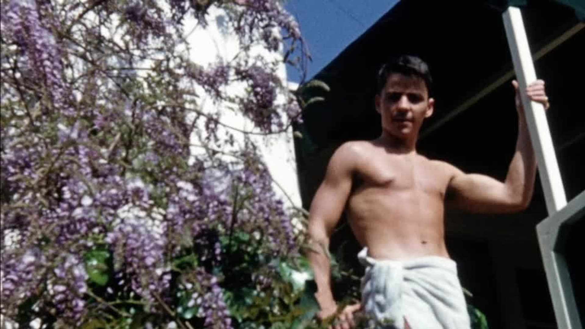 Watch Chris & Don: A Love Story (2007) - Free Movies | Tubi