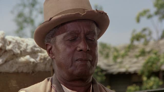 Watch Roots: The Next Generations S01:E02 - Part 2 Free TV | Tubi