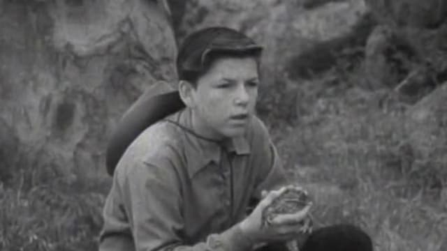 Watch Annie Oakley S03:E03 - A Tall Tale - Free TV Shows | Tubi