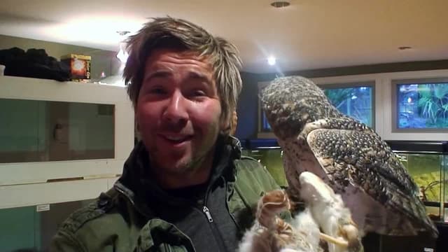 Watch Chris Humfrey's Wild Life S01:E12 - Chris Humfrey's Wi Free TV | Tubi