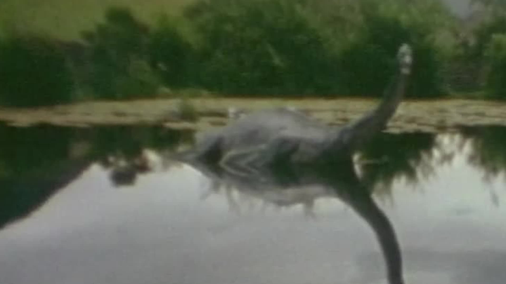 Watch The Loch Ness Monster: Hunting the Truth (2023) - Free Movies | Tubi