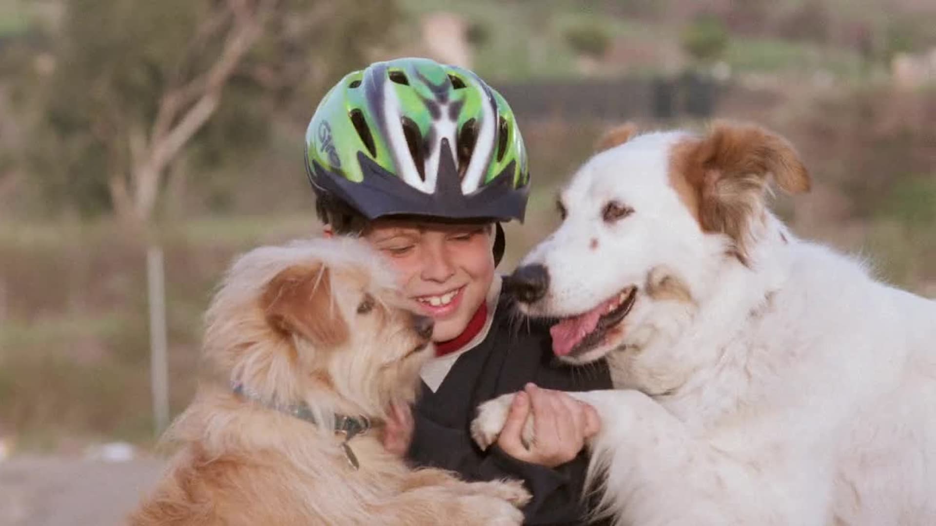 Watch Paws to the Rescue (1999) - Free Movies | Tubi