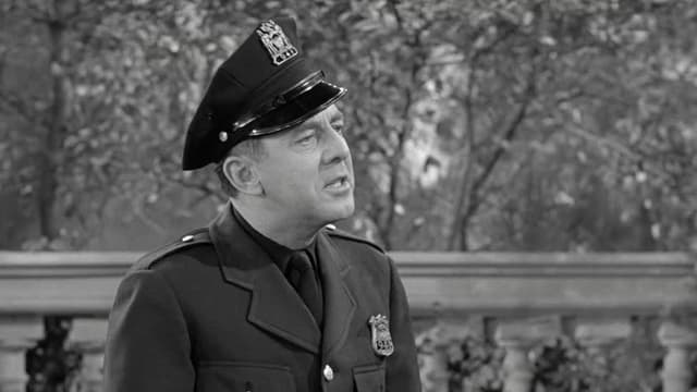 Watch The Danny Thomas Show S09:E18 - Charley Does It Himsel Free TV | Tubi