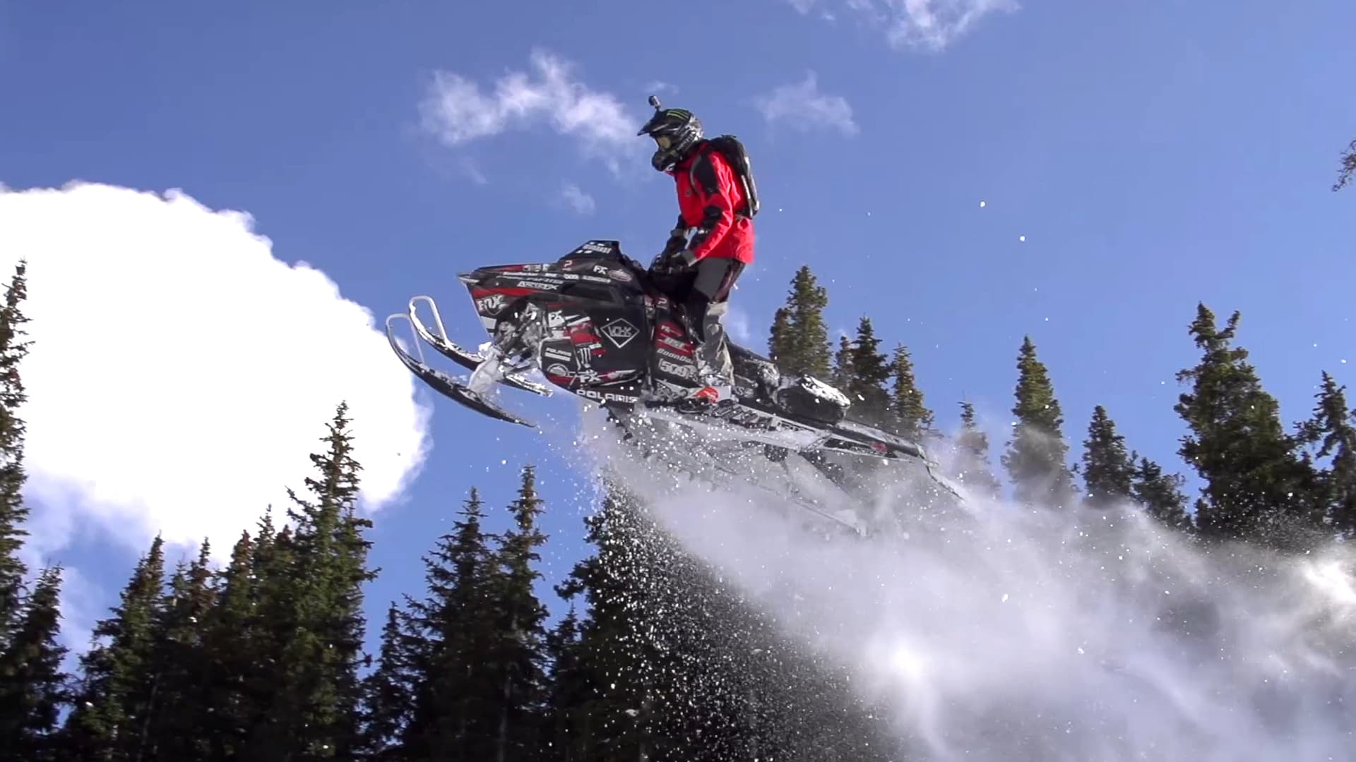 Watch 509 Films: Volume 9 (2014) - Free Movies | Tubi