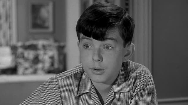 Watch Leave It to Beaver S04:E30 - The School Picture Free TV | Tubi