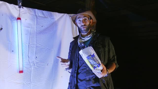 Watch Brave Wilderness S03:E11 - Snapping Turtles Free TV | Tubi