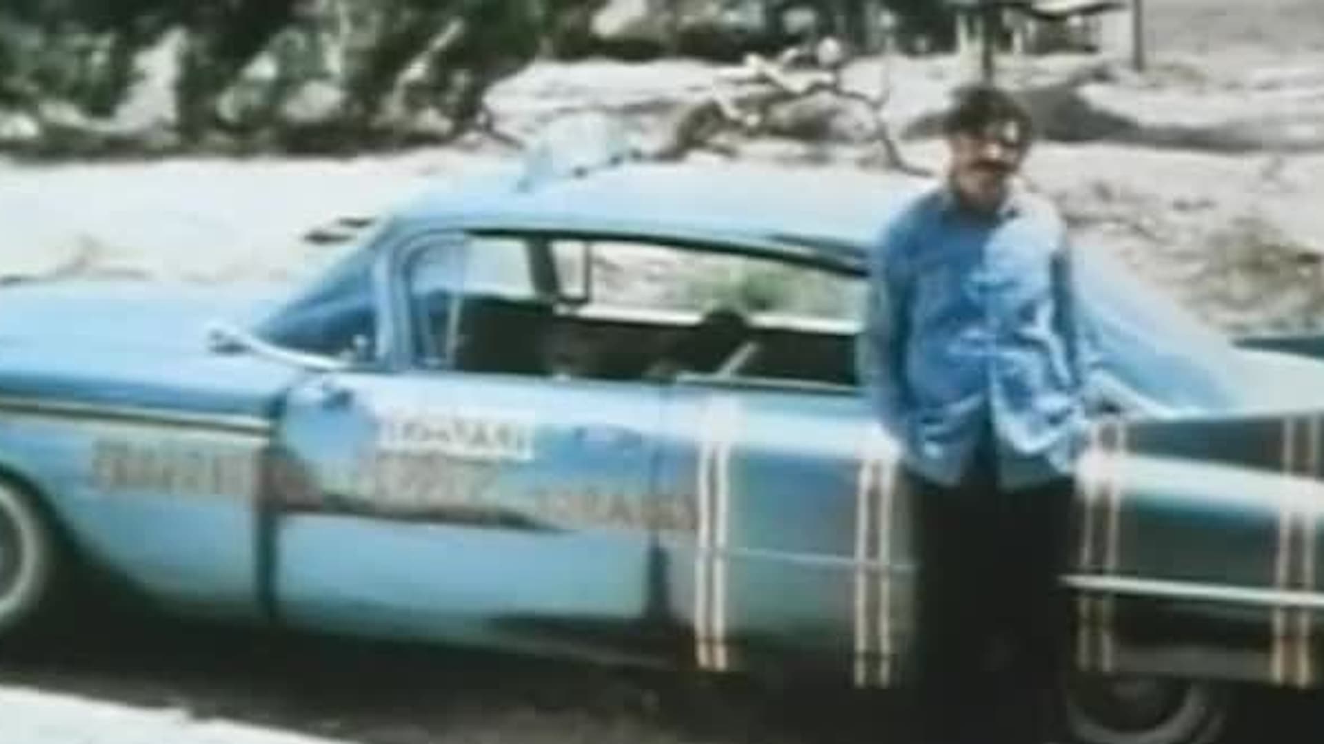 Watch Wacky Taxi (1972) - Free Movies | Tubi