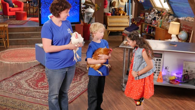 Watch Finding Stuff Out S04:E402 - Where Does Food C - Free TV Shows | Tubi