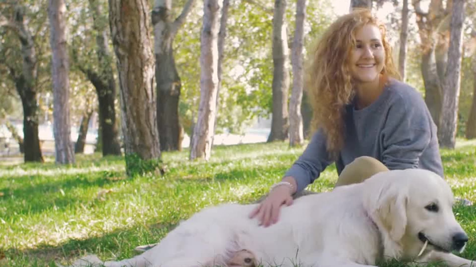 Watch Puppy-Pedia the Dog Encyclopedia: Golden Retriev - Free Movies | Tubi