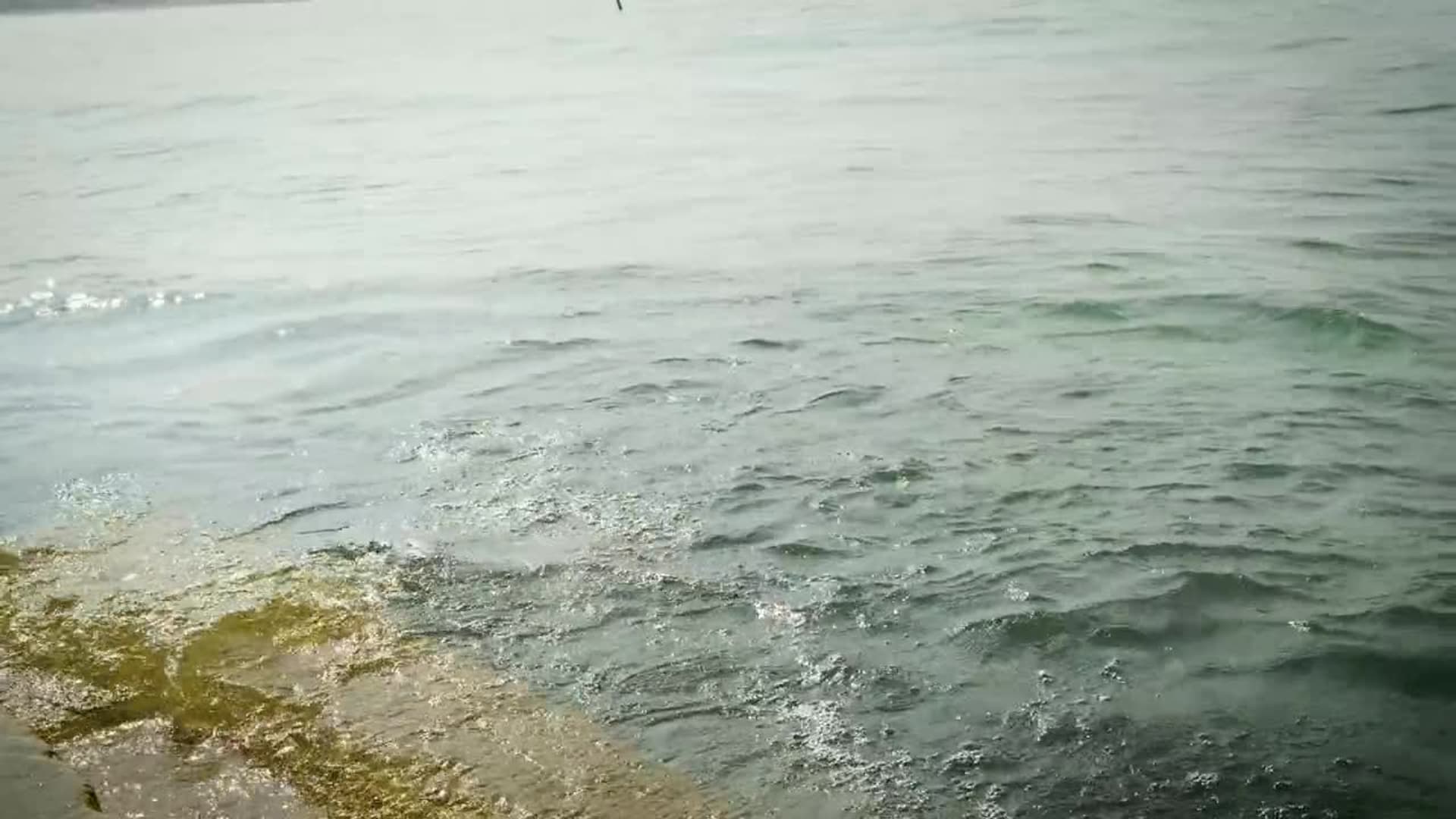 Watch Lakeshore Ambience (2023) - Free Movies | Tubi