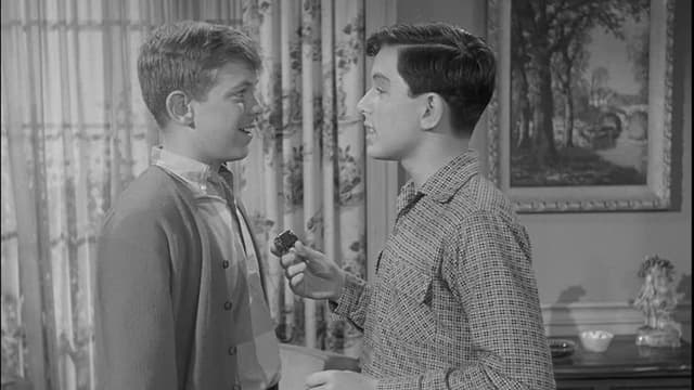 Watch Leave It to Beaver S06:E11 - Beaver, the Sheep Dog Free TV | Tubi