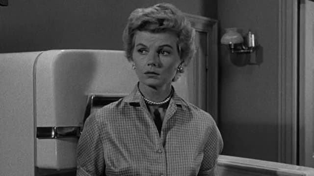 Watch Leave It to Beaver S01:E16 - Lumpy Rutherford Free TV | Tubi