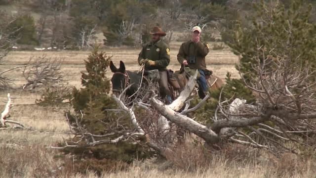 Watch Wardens S02:E02 - Antler Blitz - Free TV Shows | Tubi