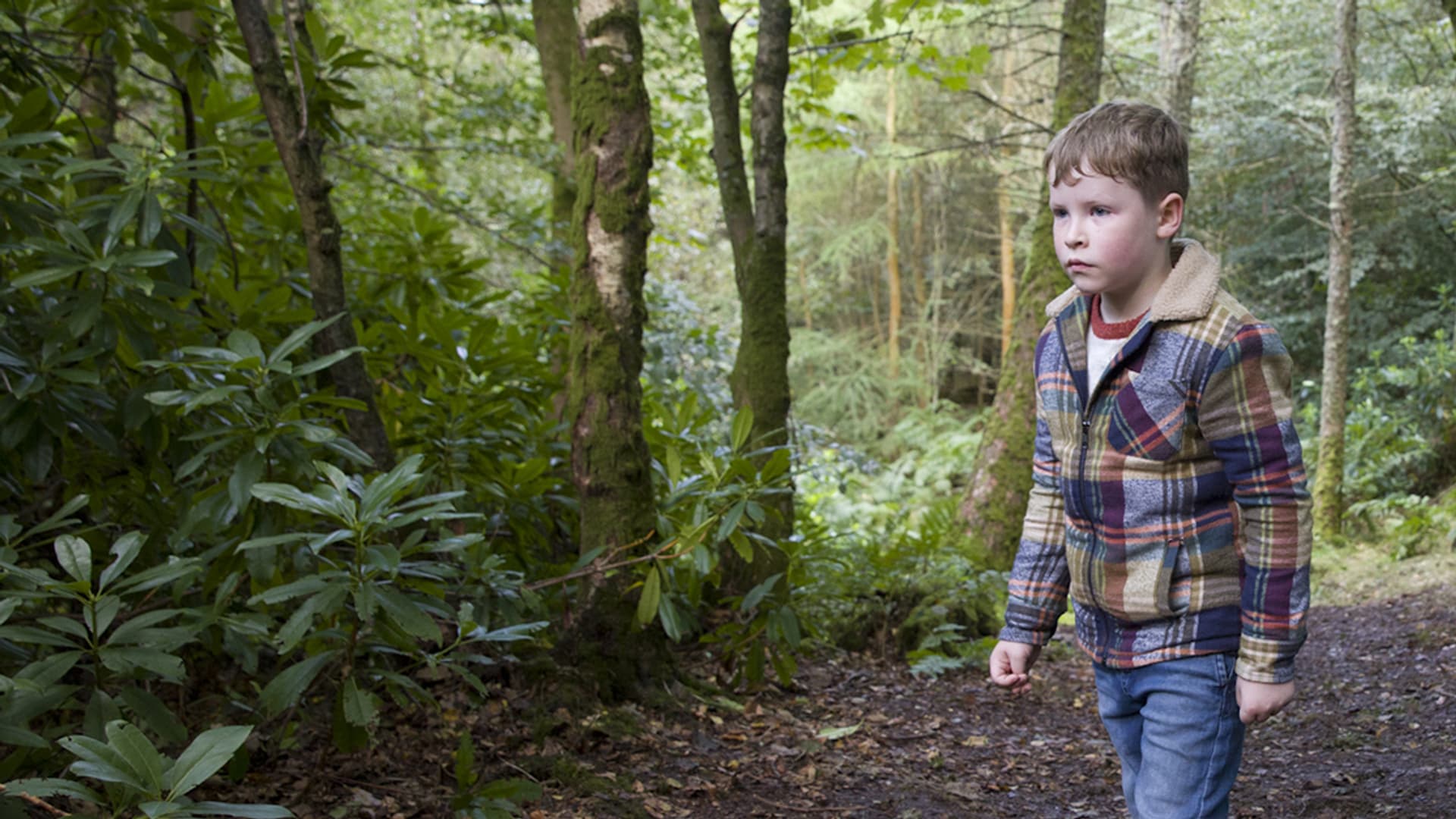 Watch The Small Hand (2019) - Free Movies | Tubi