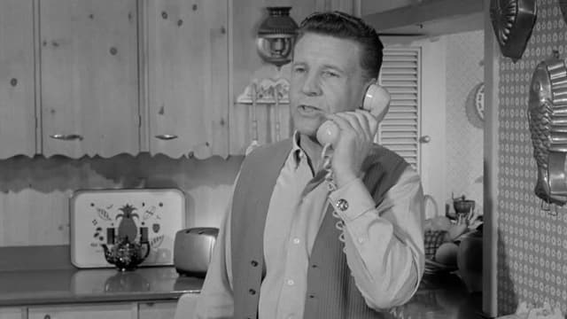 Watch The Adventures of Ozzie and Harriet S10:E18 - Operation Barry ... Watch The Adventures of Ozzie and Harriet S10:E18 - Operation Barry ...