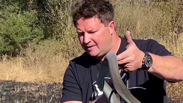 Watch Dingo Untamed S01:E01 - Alligator Relocation - Free TV Shows | Tubi