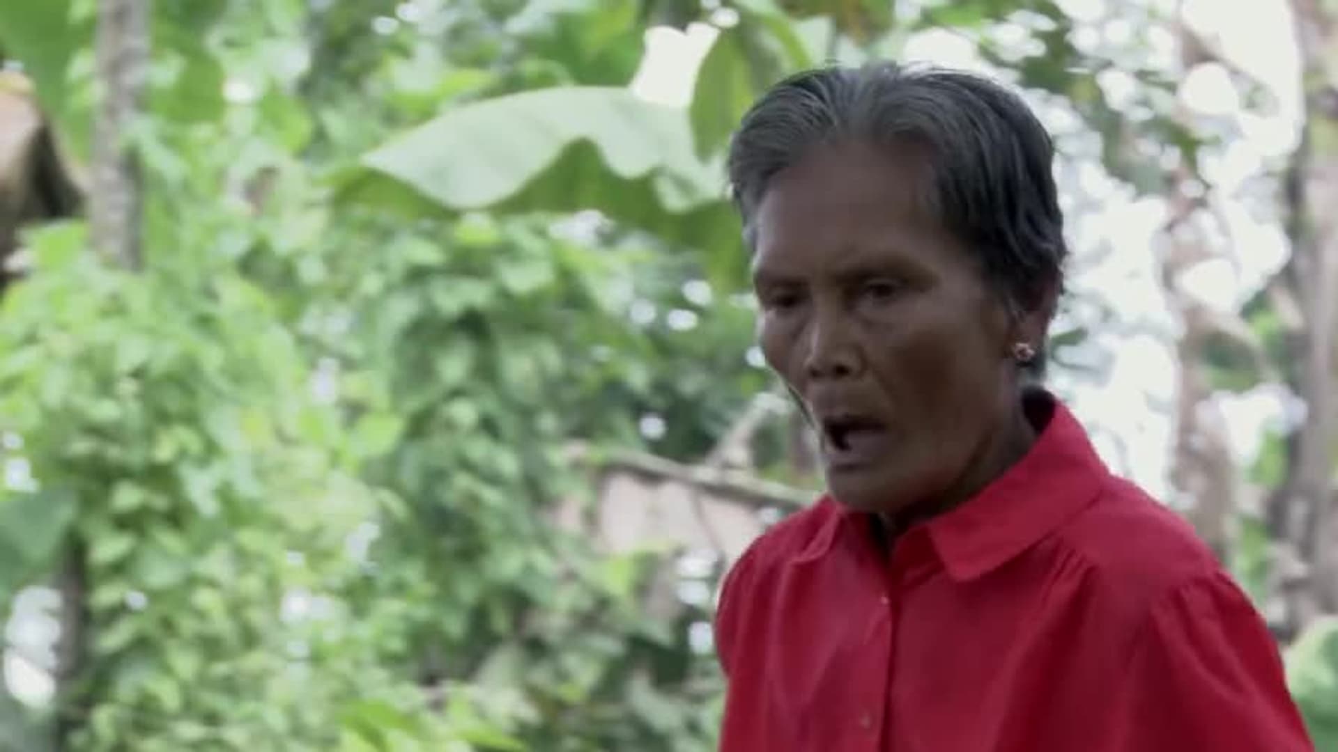 Watch Chasing the Giant Croc (2019) - Free Movies | Tubi