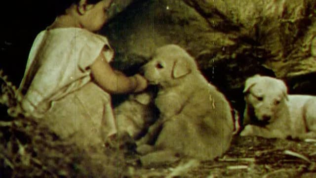 Watch Lost Animals of the 20th Century S01:E08 - Episode 8 Free TV | Tubi