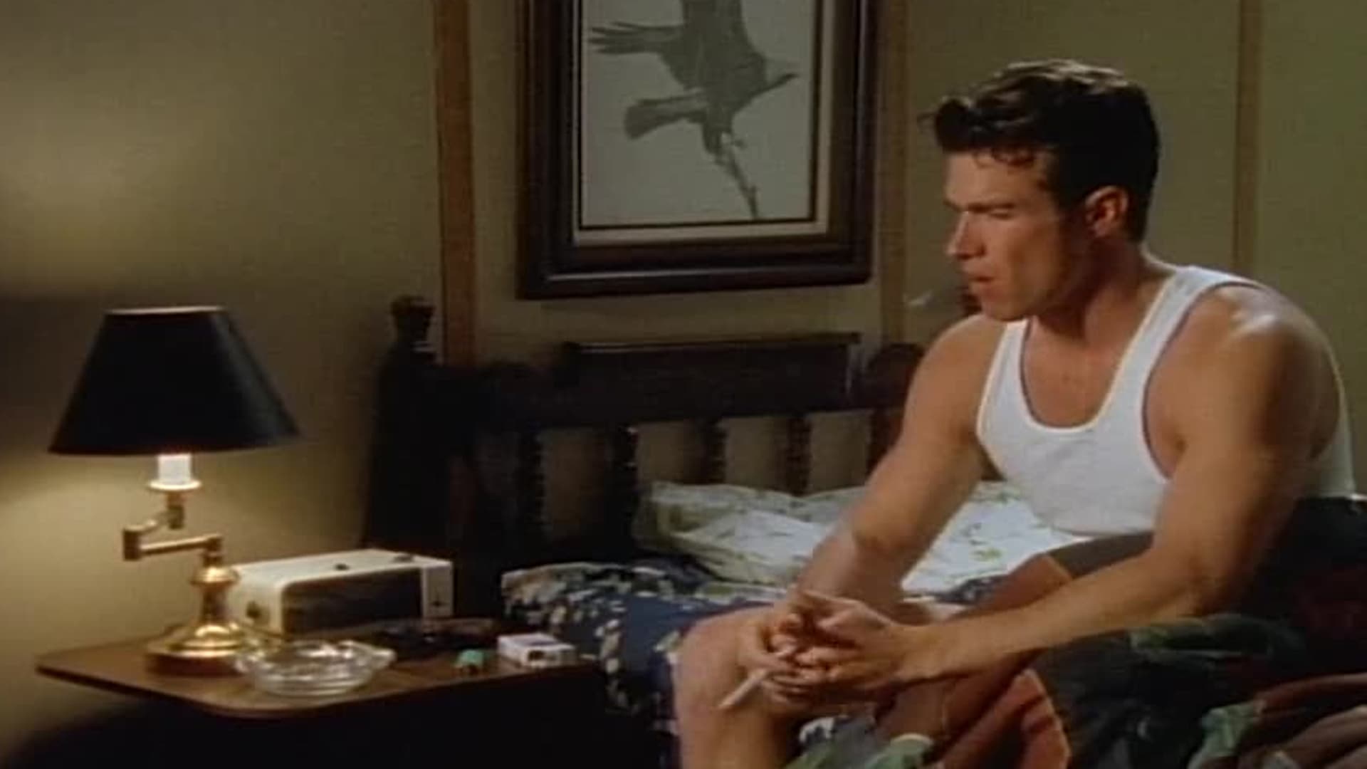 Watch Armed for Action (1992) - Free Movies | Tubi