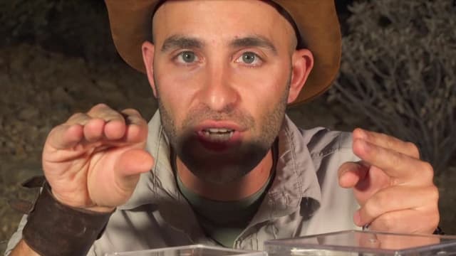 Watch Brave Wilderness S04:E07 - Rare Animal Sightin - Free TV Shows | Tubi
