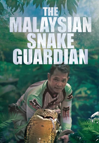 Watch The Malaysian Snake Guardian (2018) - Free Movies | Tubi
