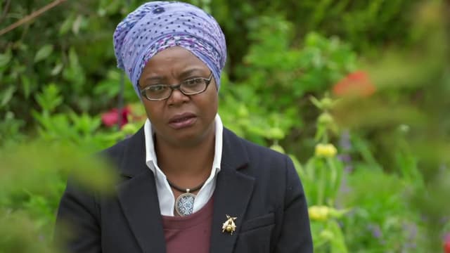 Watch Gardeners' World S09:E09 - Episode 9 - Free TV Shows | Tubi