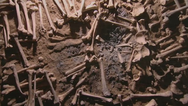 Watch Tales of the Living Dead S01:E08 - Headless Warriors - Free TV ...