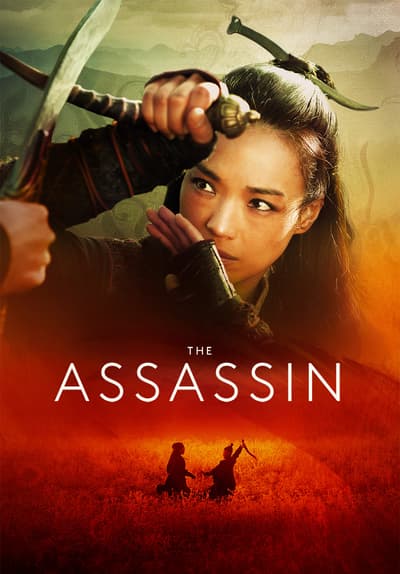 Watch The Assassin (2015) - Free Movies | Tubi