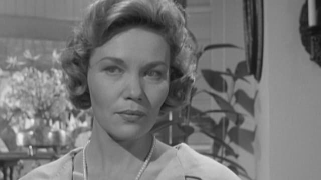 Watch Peter Gunn S03:E16 - Jacoby's Vacation - Free TV Shows | Tubi