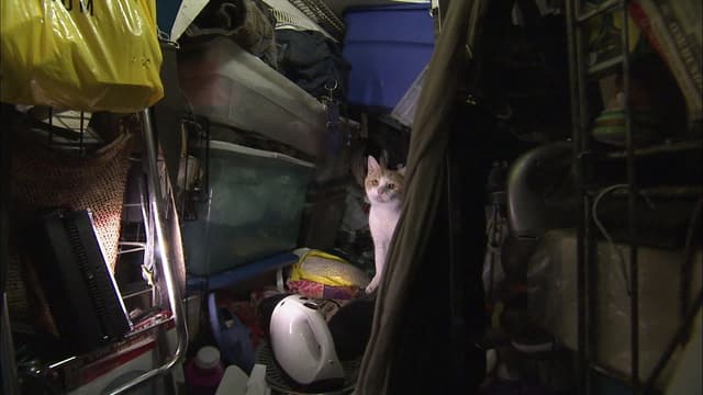 Watch Hoarders S04:E12 - Kevin/Mary - Free TV Shows | Tubi