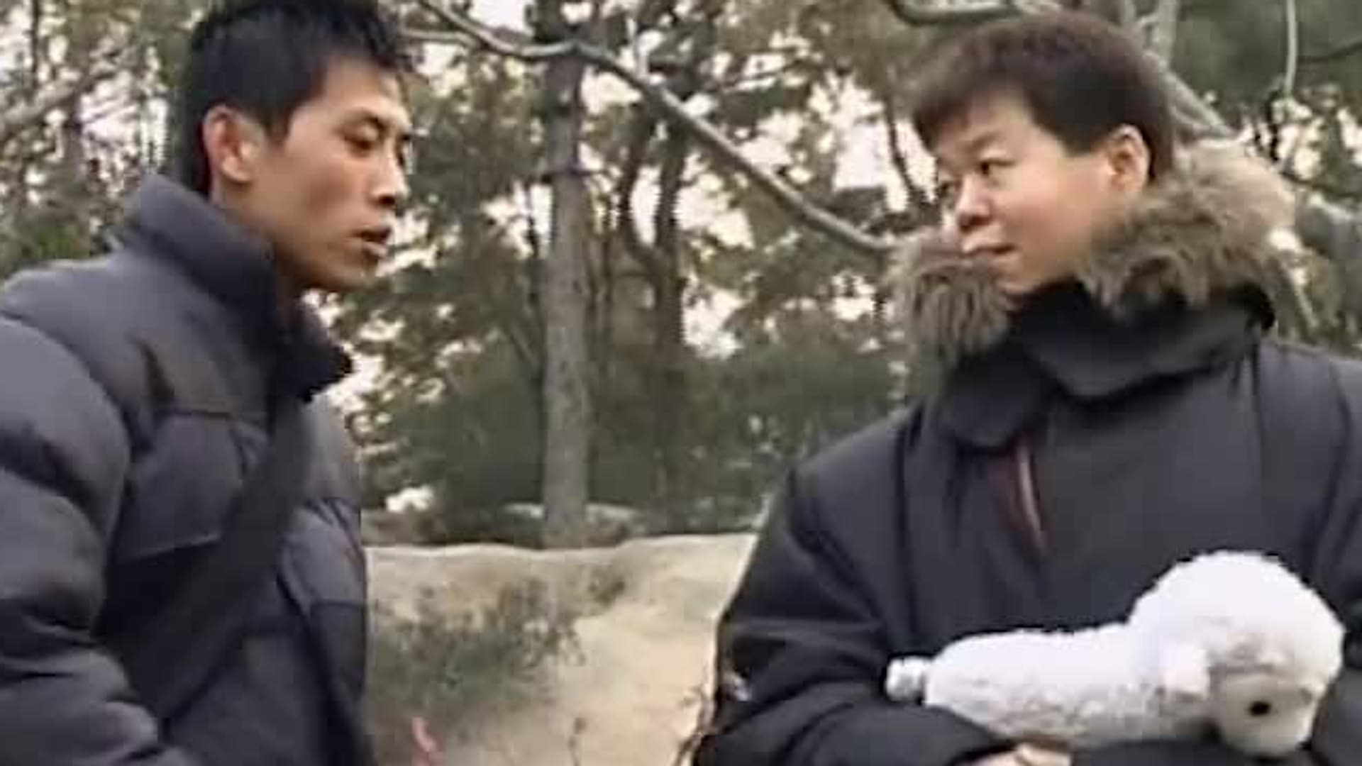 Watch Night Scene (2004) - Free Movies | Tubi