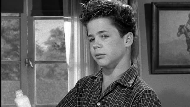 Watch Leave It to Beaver S01:E36 - Beaver and Henry Free TV | Tubi