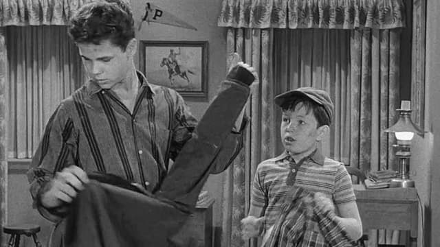 Watch Leave It to Beaver S02:E32 - Friendship Free TV | Tubi