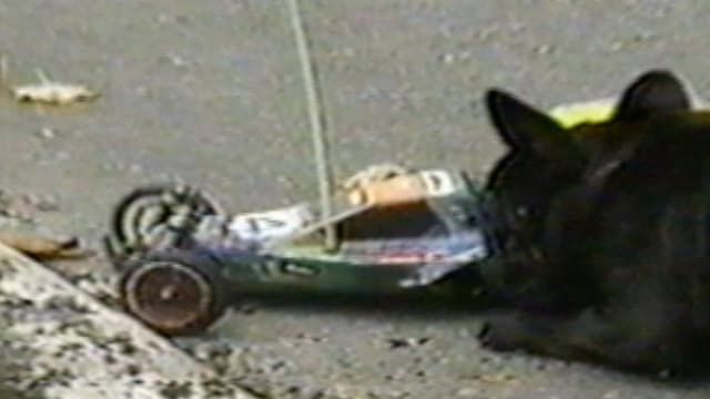 Watch Life's Funniest Moments S01:E06 - Oreo Eating Contest Free TV | Tubi