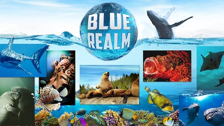 Watch Blue Realm - Free TV Shows | Tubi