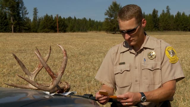 Watch Wardens S03:E11 - Whitefish - Free TV Shows | Tubi