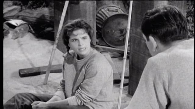 Watch The Many Loves of Dobie Gillis Season 3 - Free TV Shows | Tubi