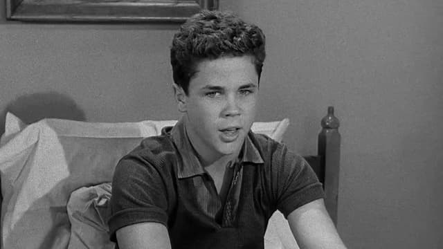 Watch Leave It to Beaver S02:E24 - The Bus Ride Free TV | Tubi