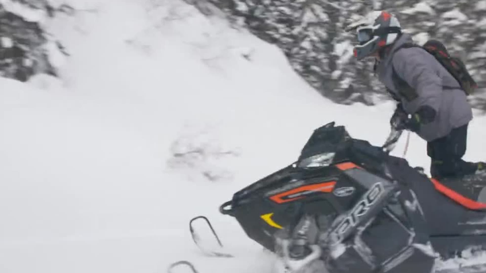 Watch Boondockers 16 (2019) - Free Movies | Tubi