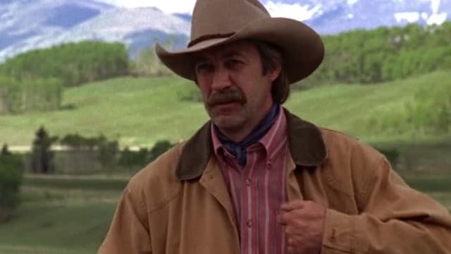 Watch Heartland (Español) S02:E07 - La Novia Del Rod - Free TV Shows | Tubi