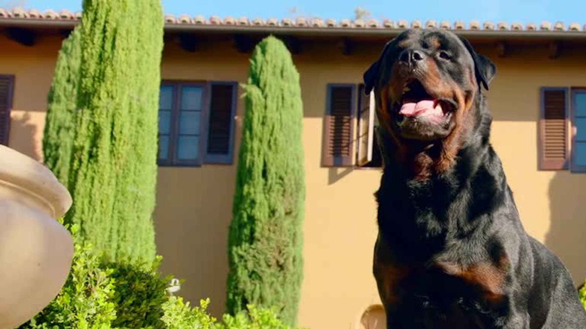 Watch Forever Faithful (2017) - Free Movies | Tubi