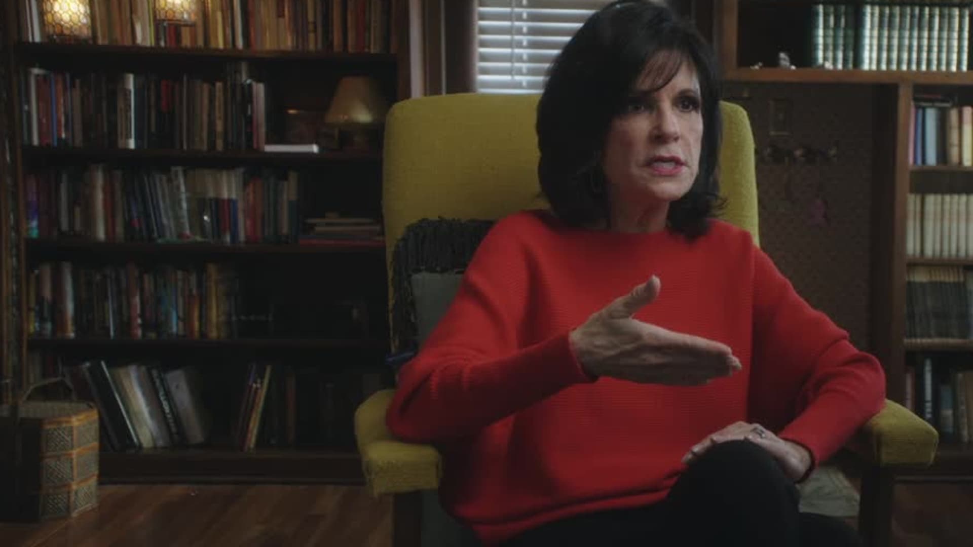 Watch Invisible Monsters: Serial Killers in America - Free TV Shows | Tubi