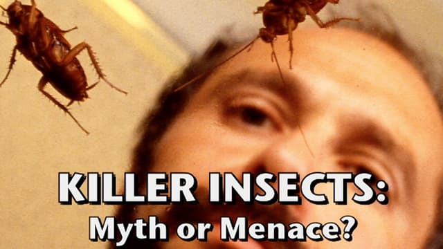 Watch World's Greatest Mysteries S03:E05 - Killer Insects: M Free TV | Tubi