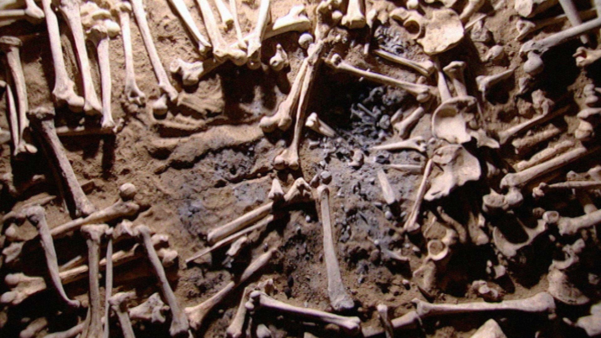 Watch Tales of the Living Dead S01:E12 - Severed Han - Free TV Shows | Tubi