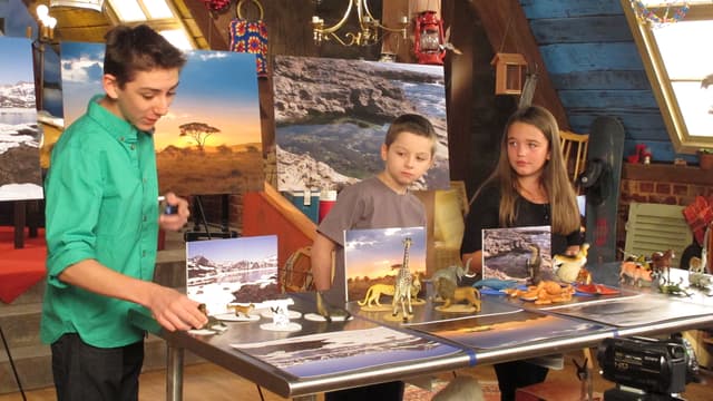 Watch Finding Stuff Out S02:E210 - Growth Free TV | Tubi