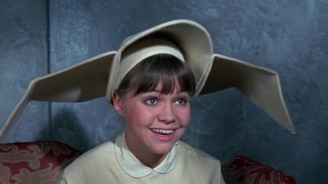 Watch The Flying Nun S02:E25 - Cousins by the Dozens - Free TV Shows | Tubi